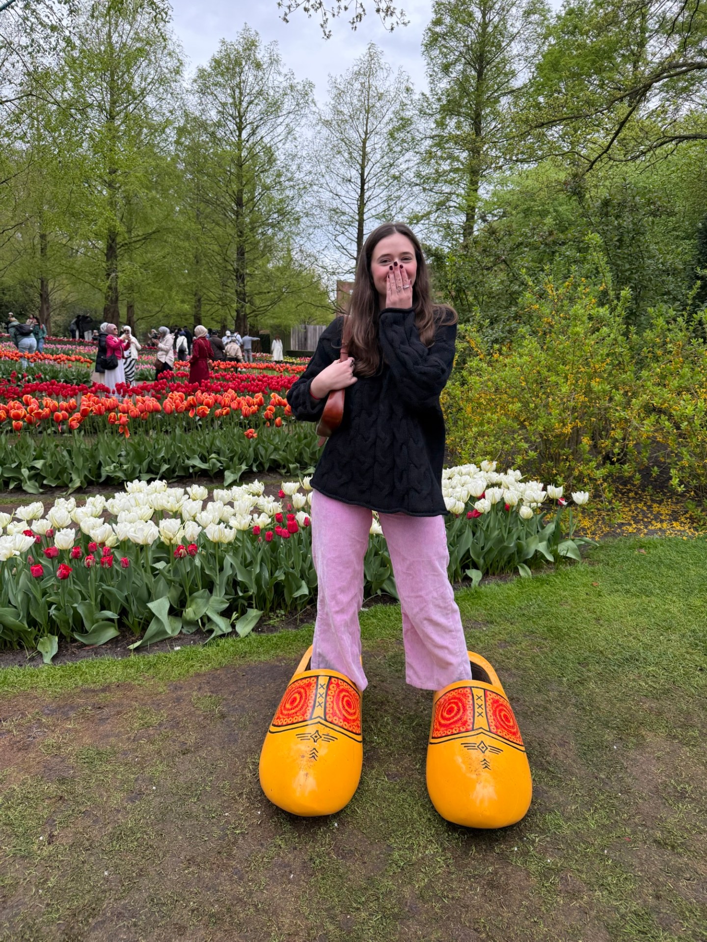 How to see the tulips in Amsterdam – Lily's Travel Journal