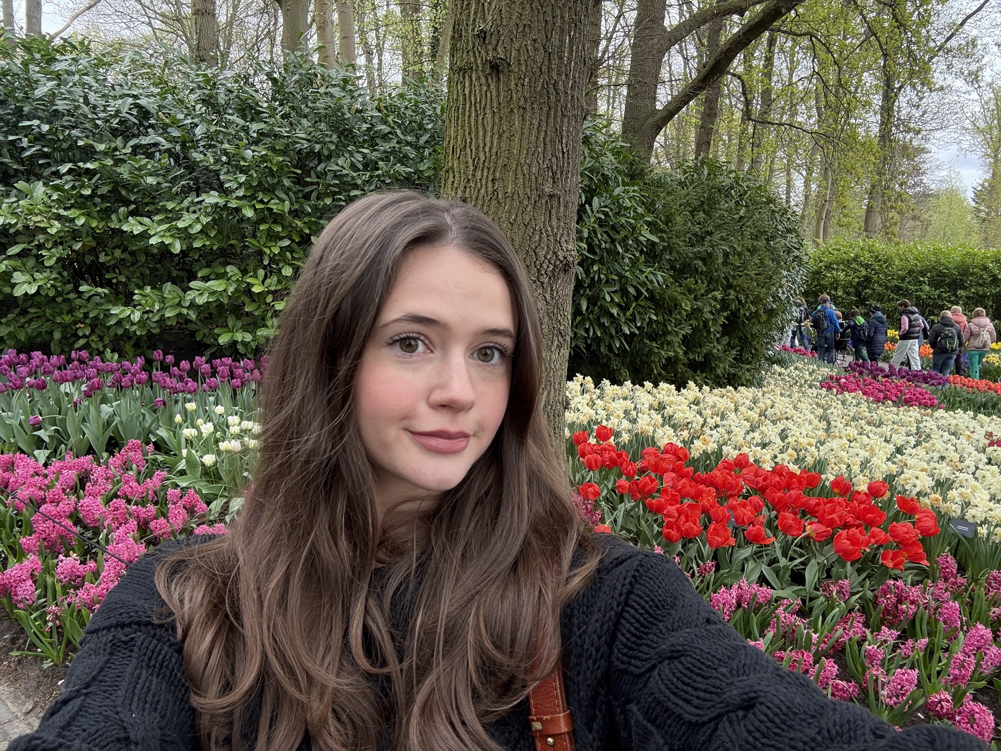 How to see the tulips in Amsterdam – Lily's Travel Journal