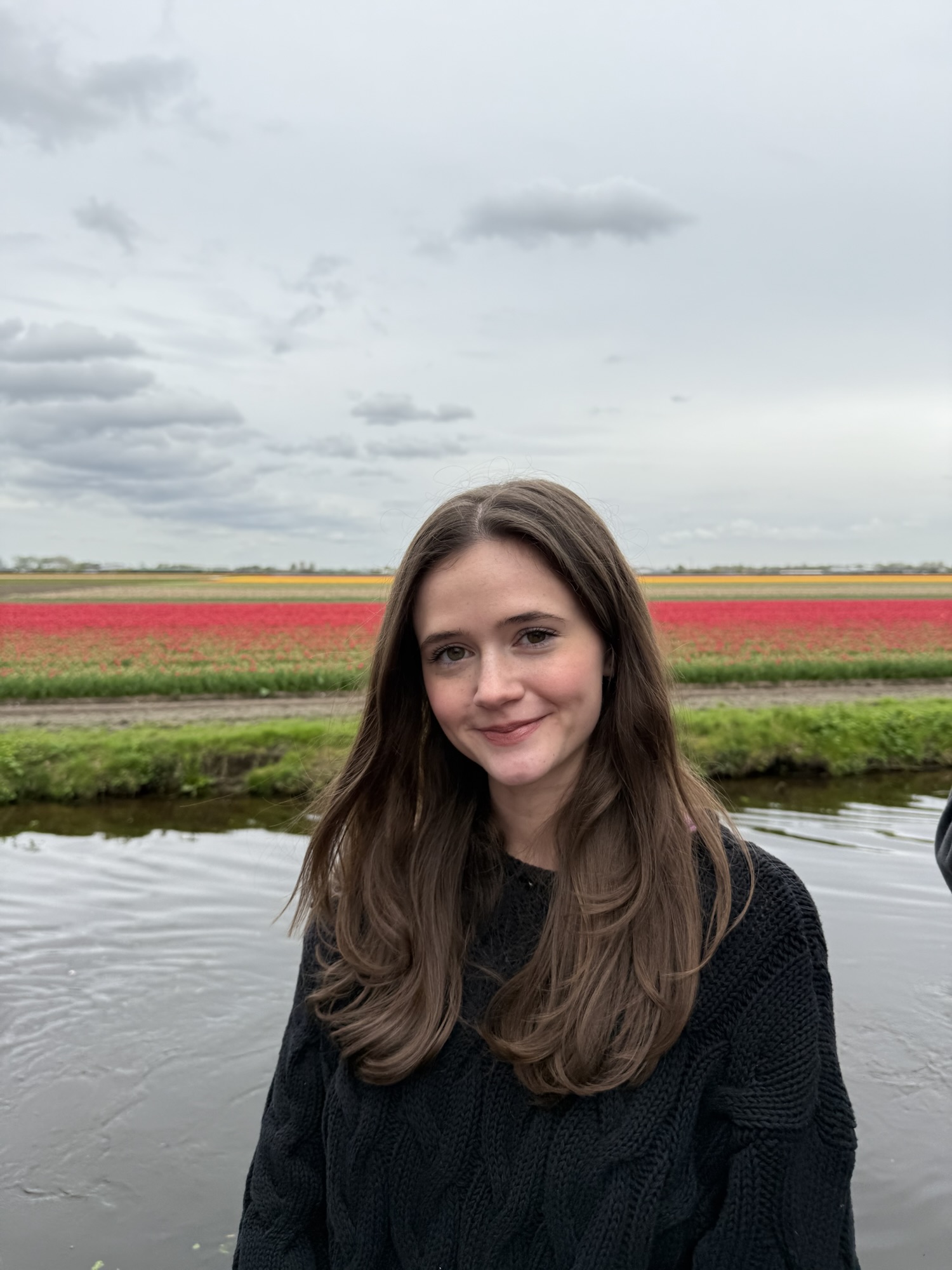 How to see the tulips in Amsterdam – Lily's Travel Journal