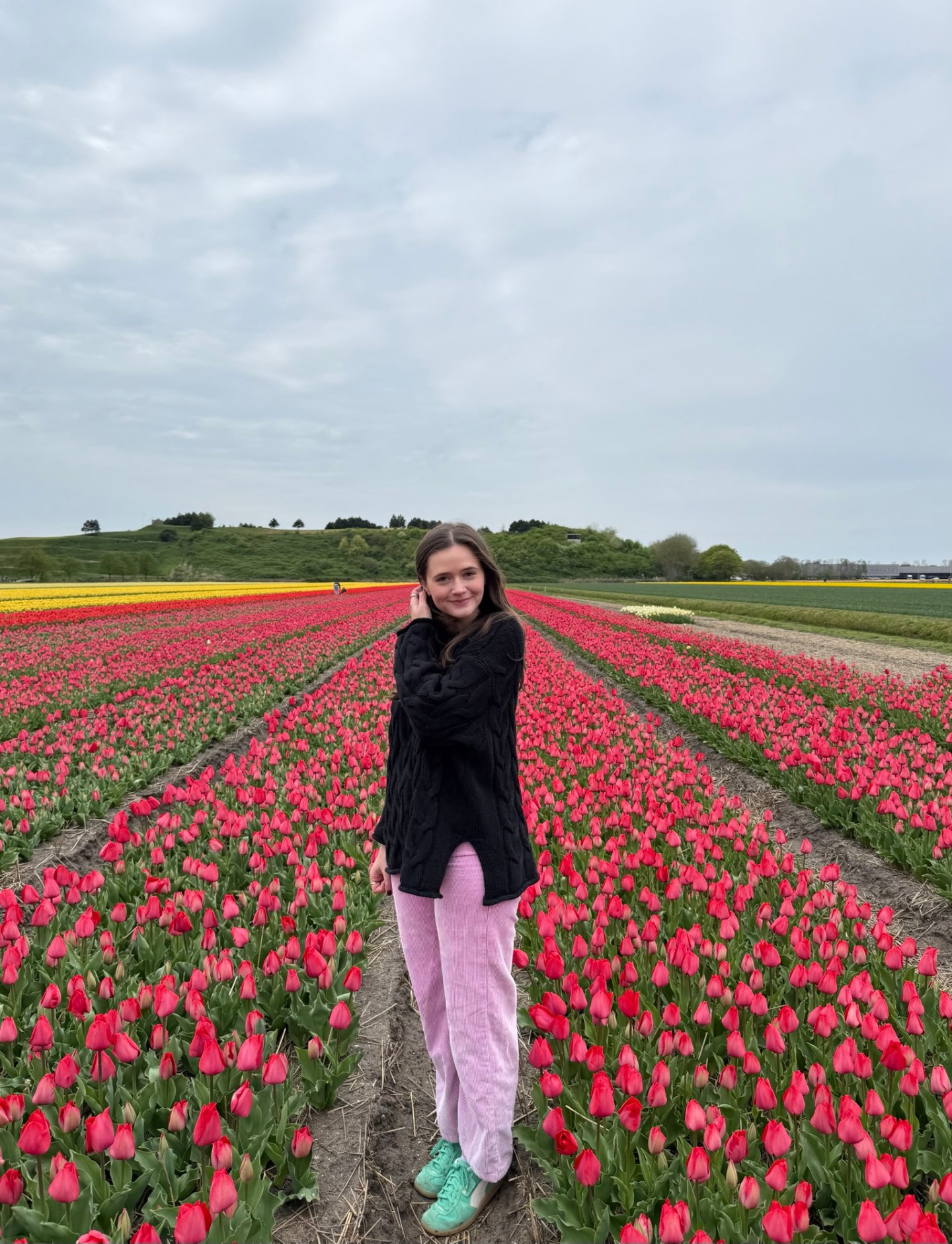 How to see the tulips in Amsterdam – Lily's Travel Journal