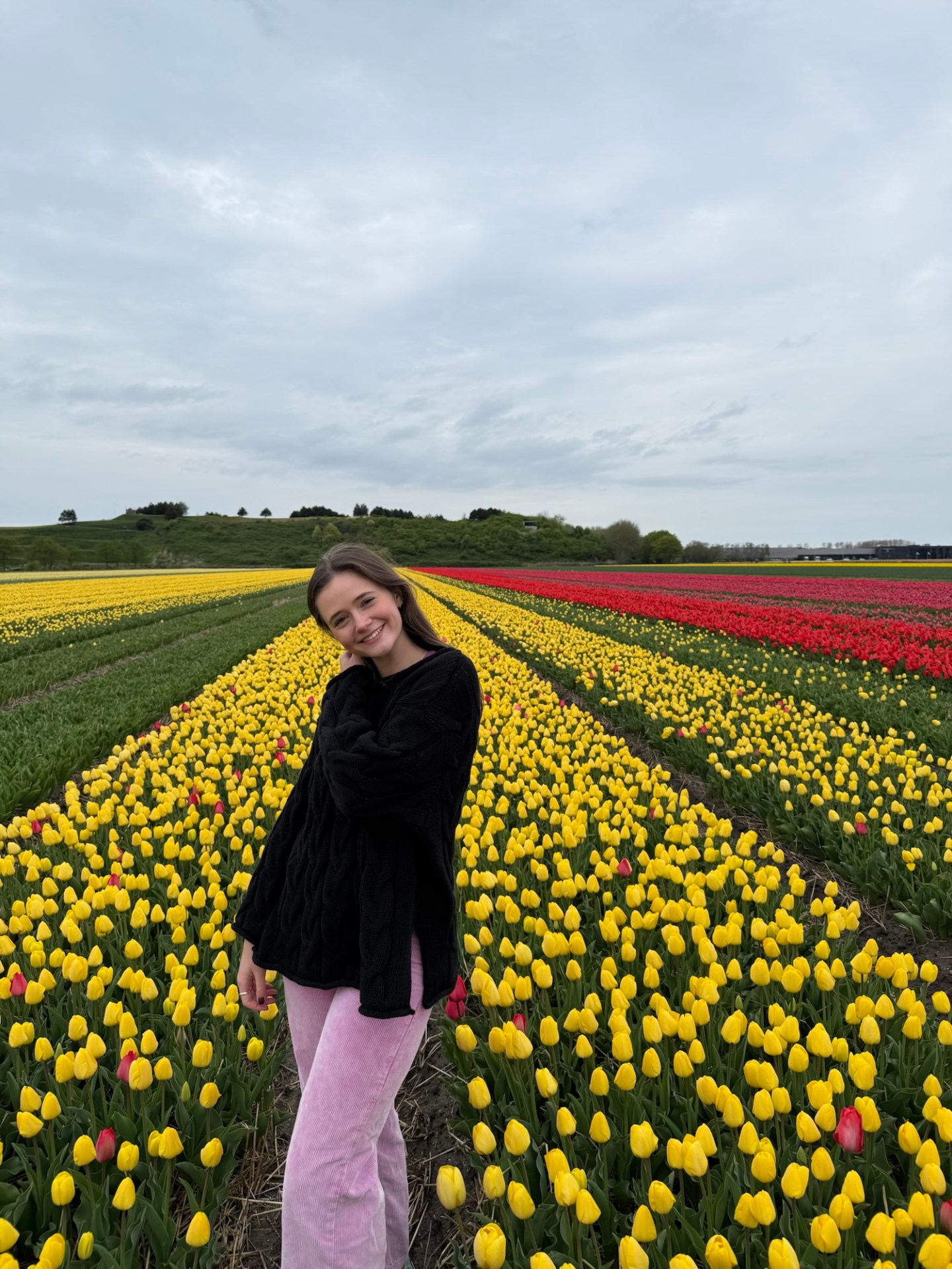 How to see the tulips in Amsterdam – Lily's Travel Journal