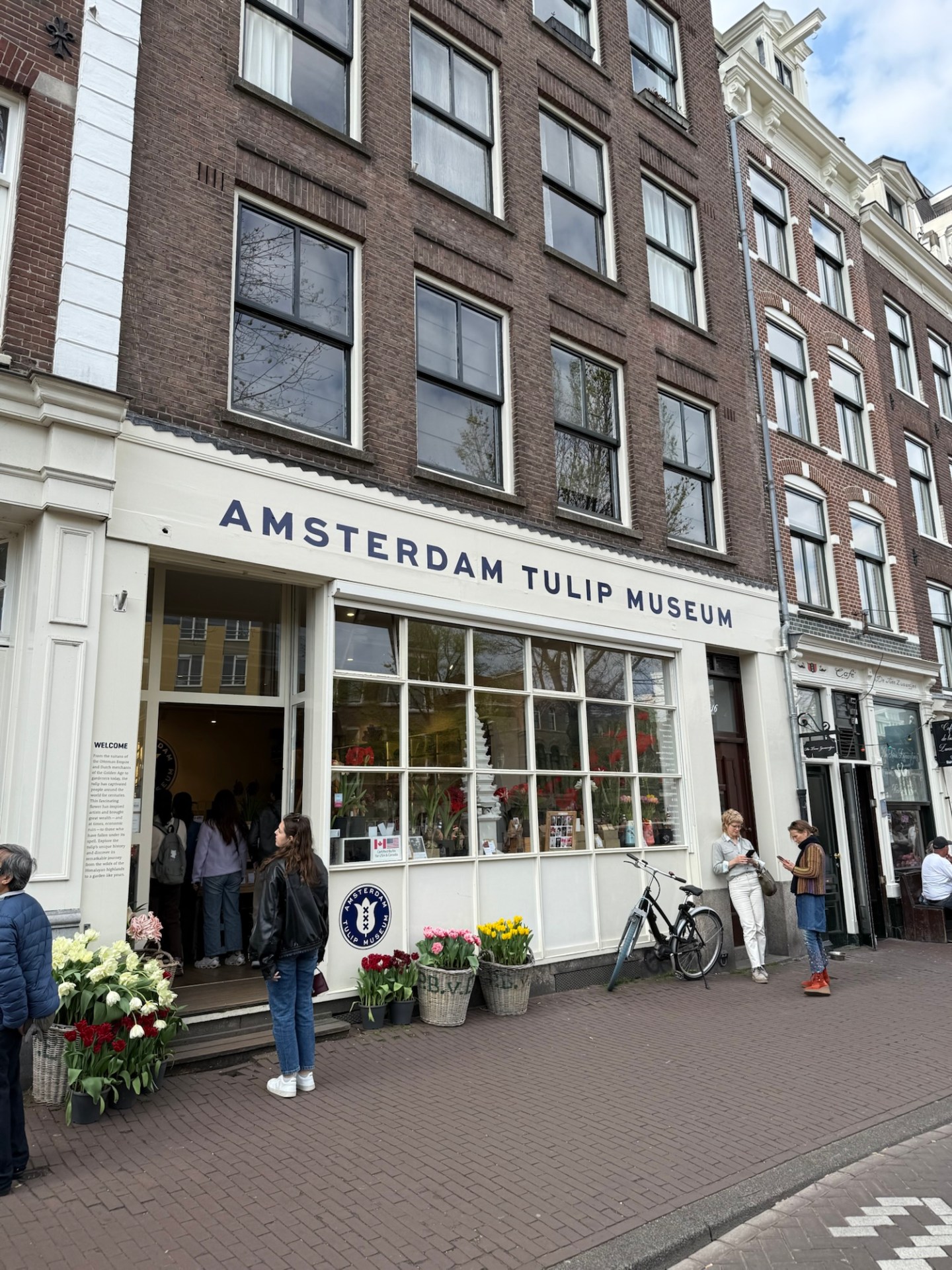 How to see the tulips in Amsterdam – Lily's Travel Journal